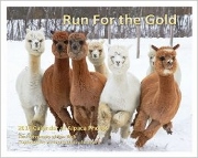 Alpaca Gifts and Alpaca Items - Shop Online for Alpaca Gifts
