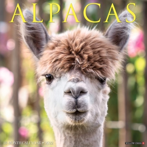 Alpaca Gifts and Alpaca Items - Shop Online for Alpaca Gifts